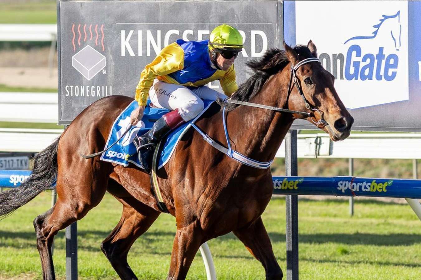 $81 longshot Badiss smashes rivals by eight lengths at Gawler