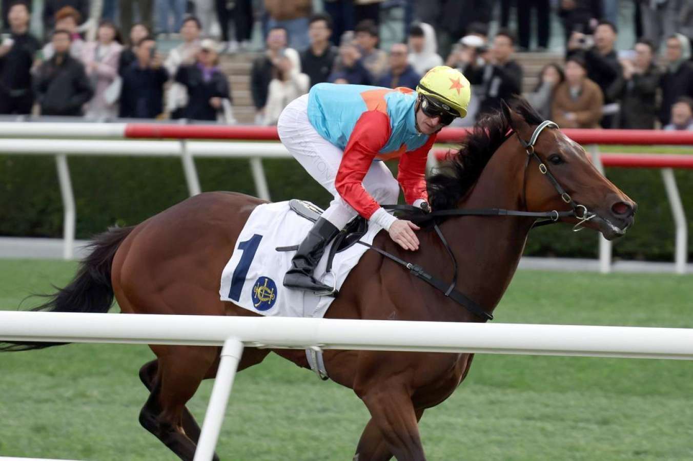 Ka Ying Rising makes it 11 wins in a row