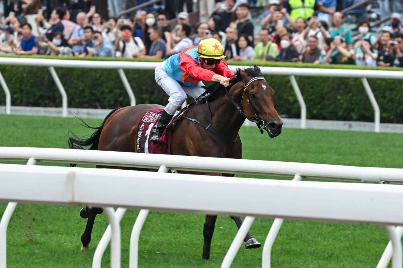 Ka Ying Rising seals perfect season with G1 Chairman's Sprint Prize triumph