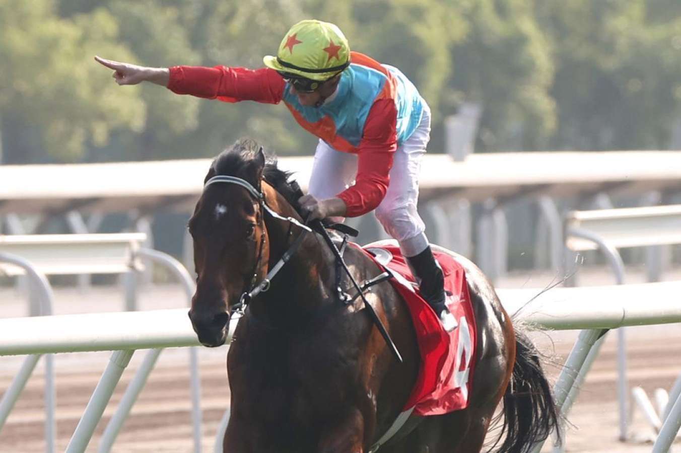 David Hayes declares Hong Kong Sprint favourite Ka Ying Rising could be ...