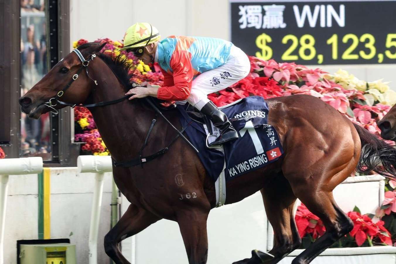 Purton confident star sprinter Ka Ying Rising can overcome tough ...