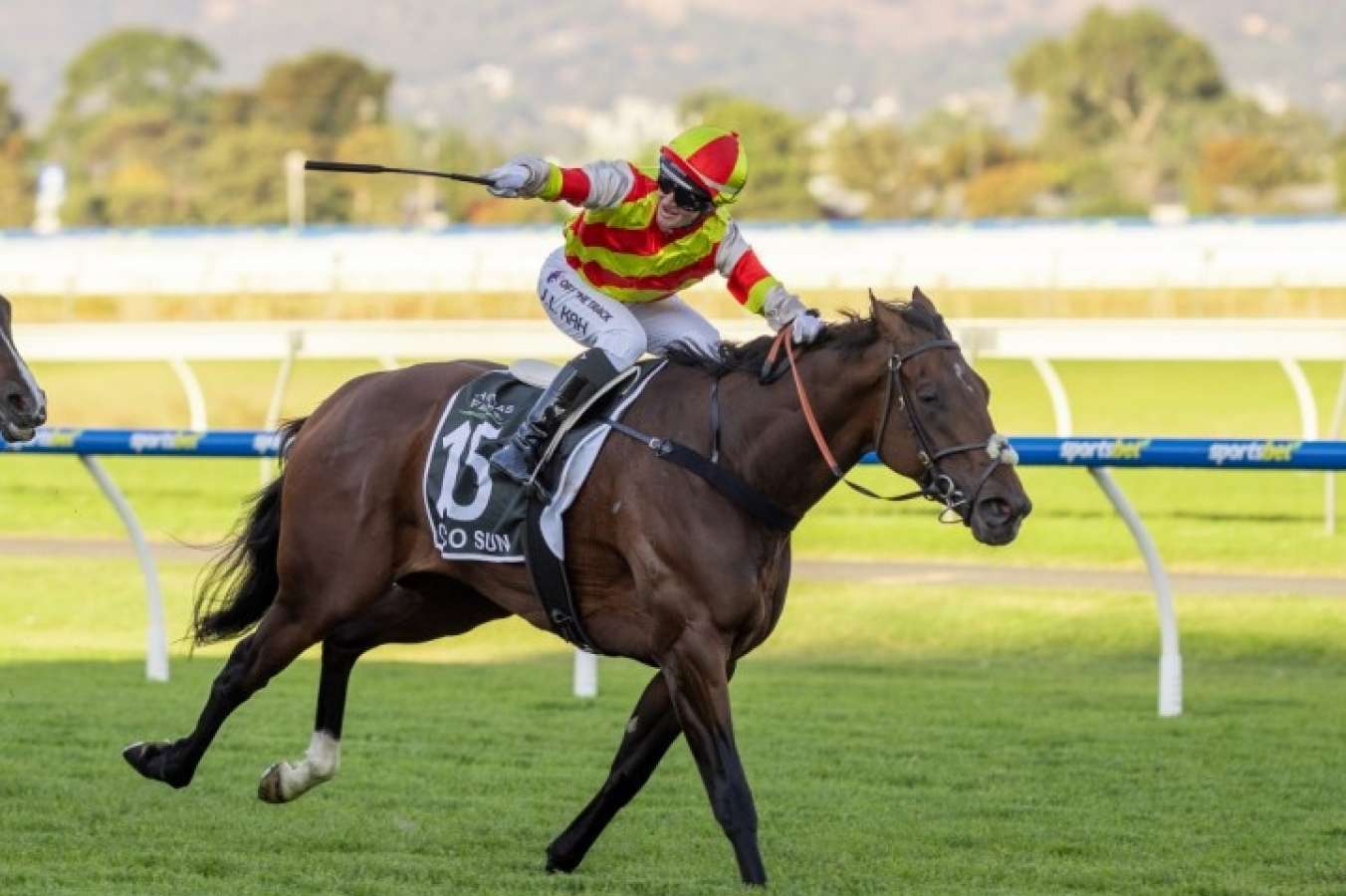 Tony and Calvin McEvoy aiming Coco Sun at Group 1 Underwood Stakes