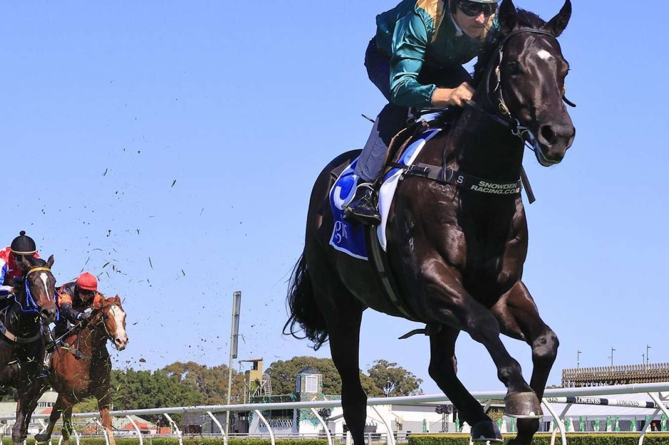 From $600k Golden Slipper colt to Country Stampede hope