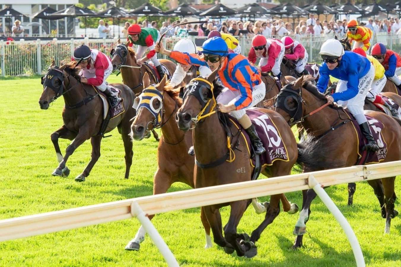 Punters post-race: Kingston Town Classic day in review