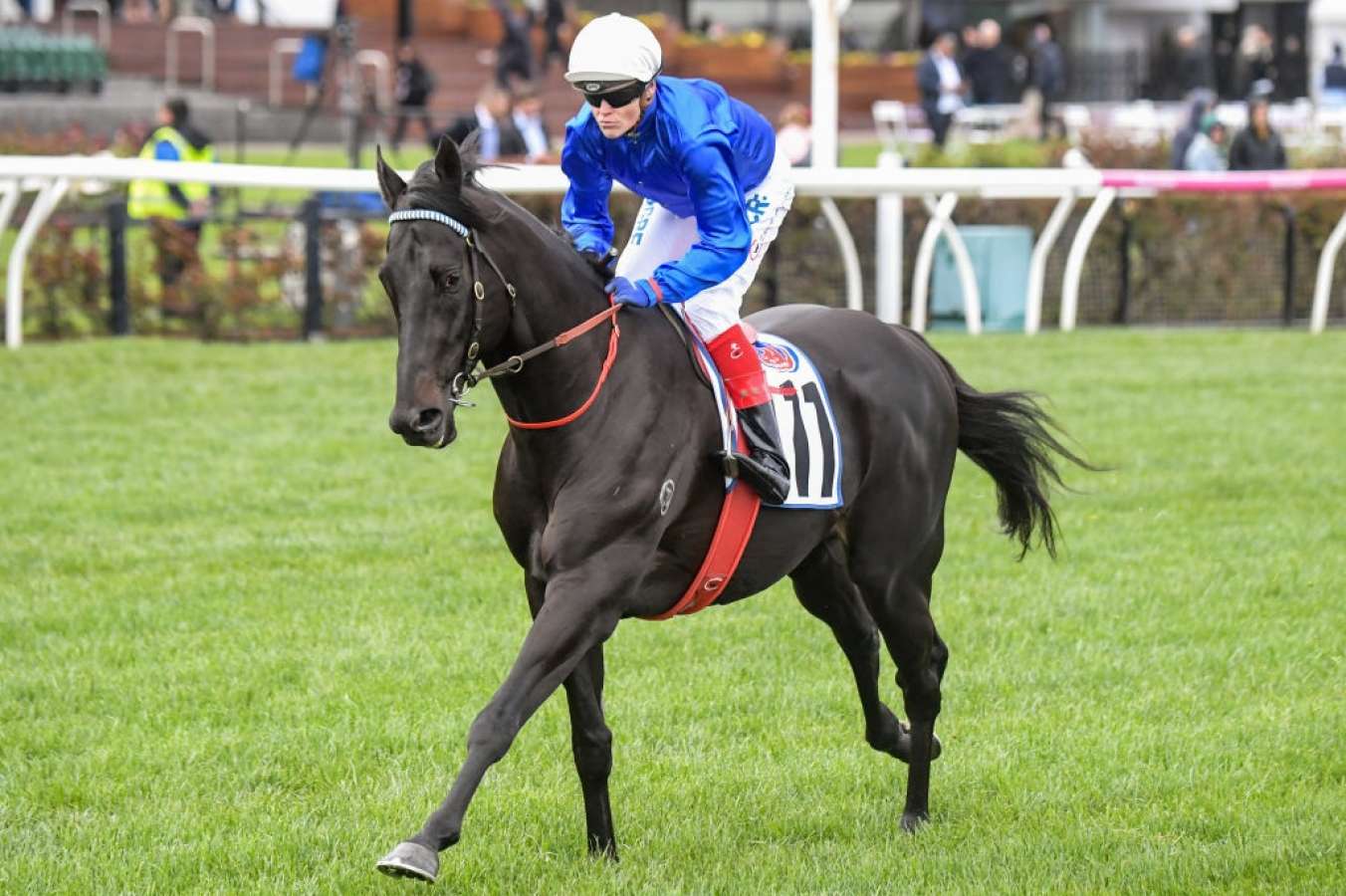 Kementari to return to racing ranks