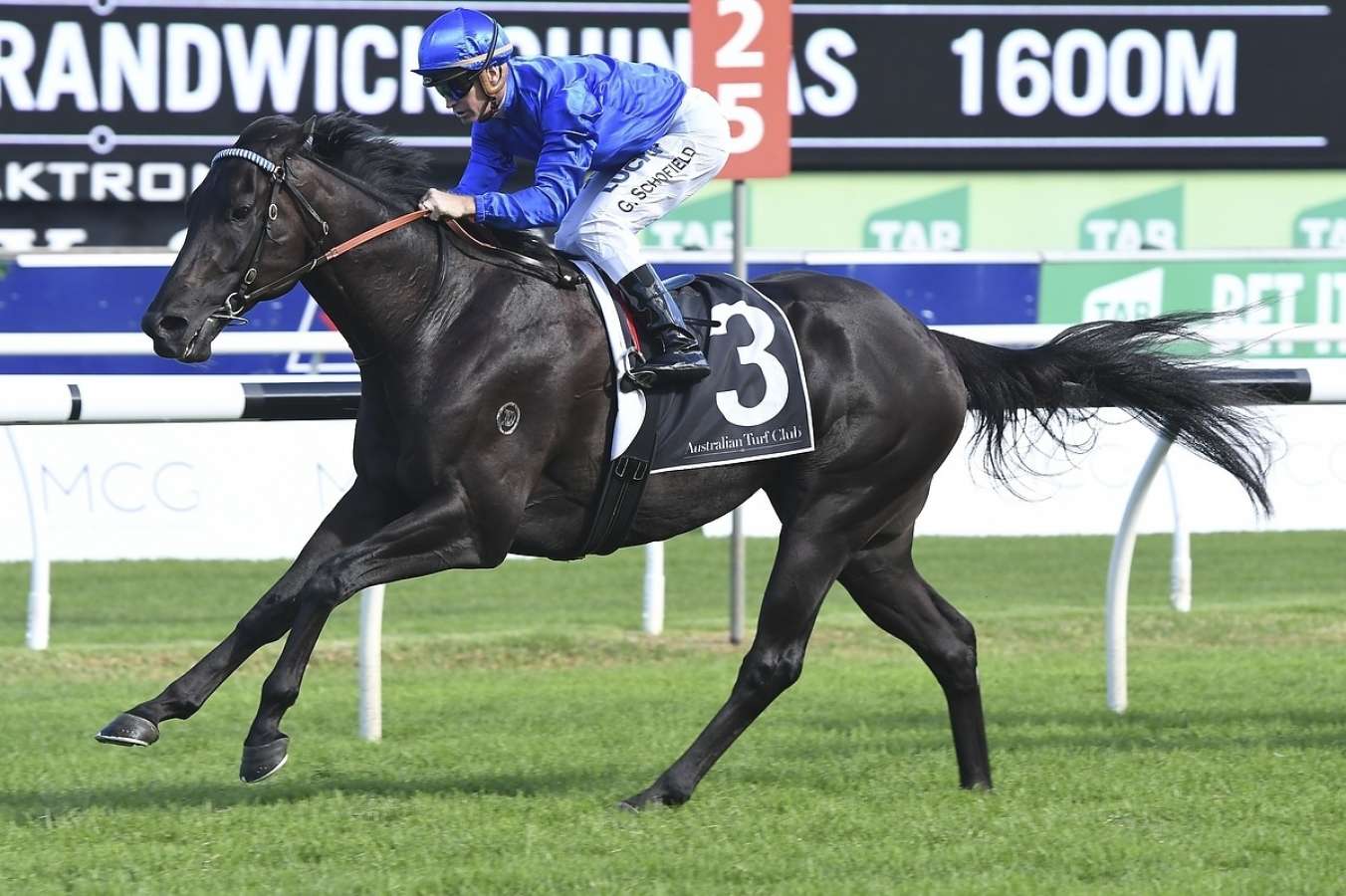 The life and times of the enigma that is Kementari