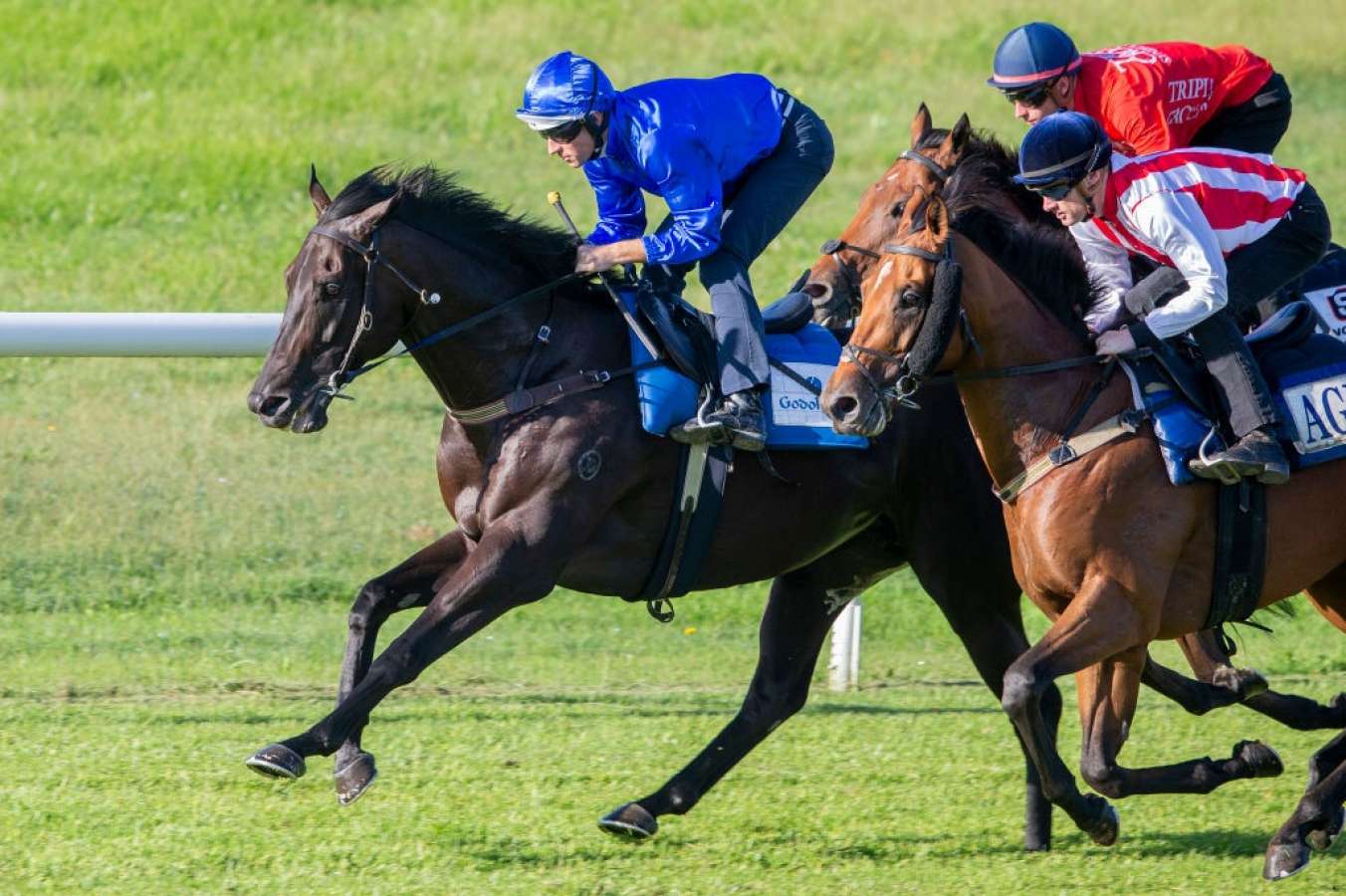 Kementari opens favourite for G2 Victory Stakes