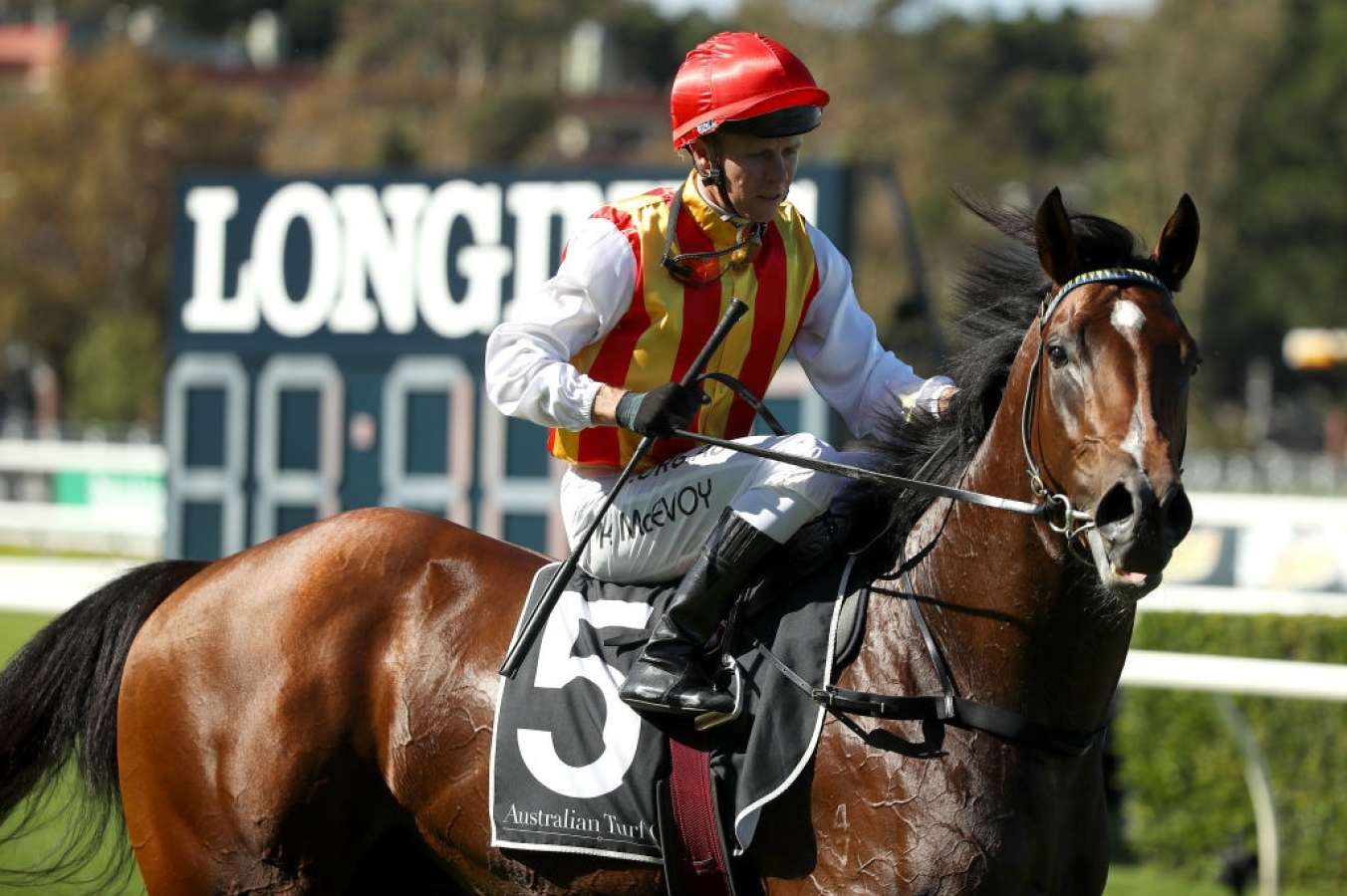 Ryan believes Peltzer has Golden glow, J J Atkins doubt