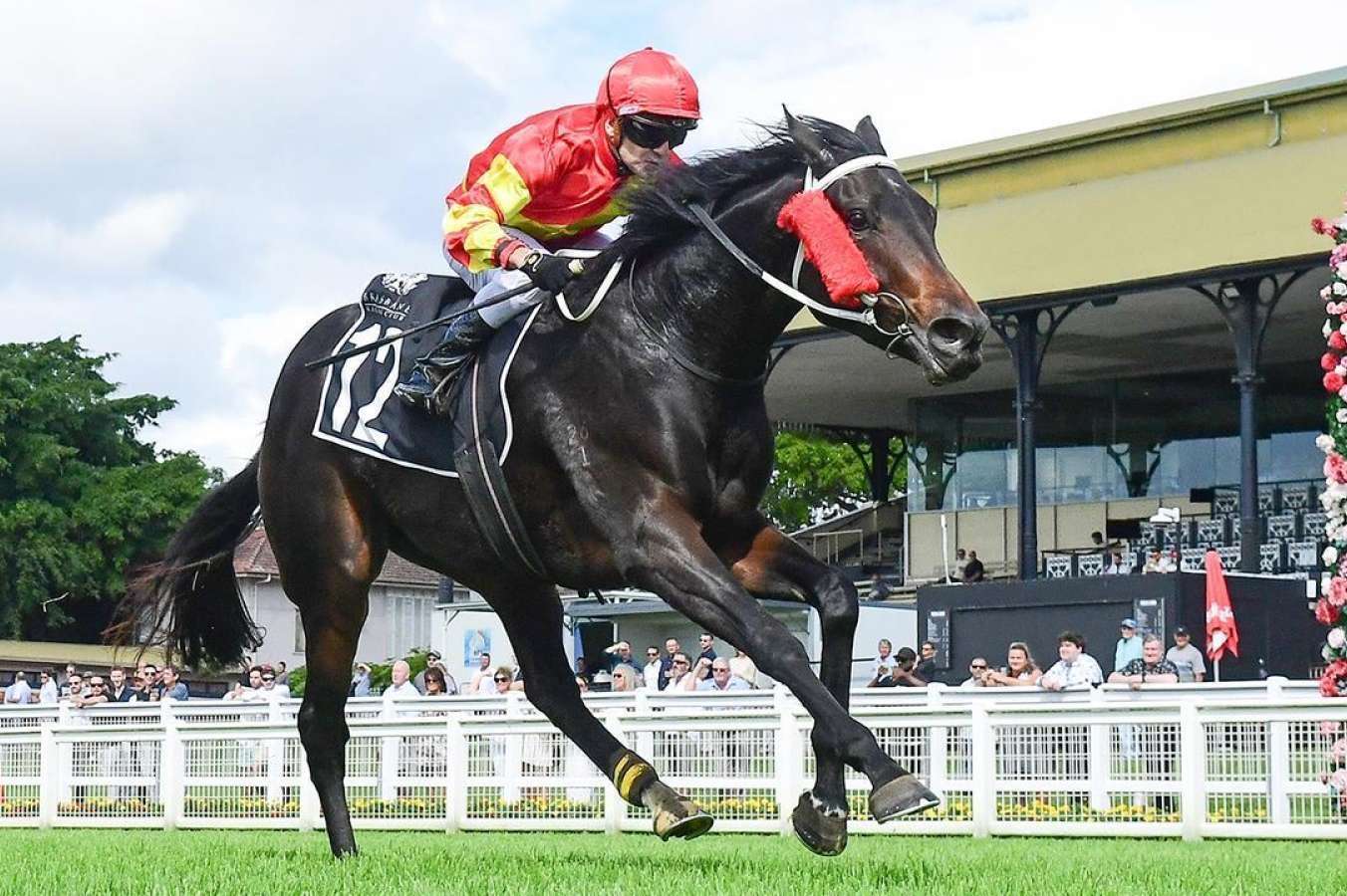 David vs Goliath: Toowoomba trainer on $1m mission in Sires'