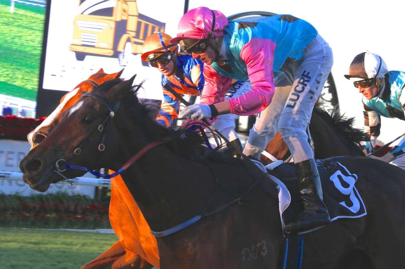 Moir Stakes an option for Sold For Song