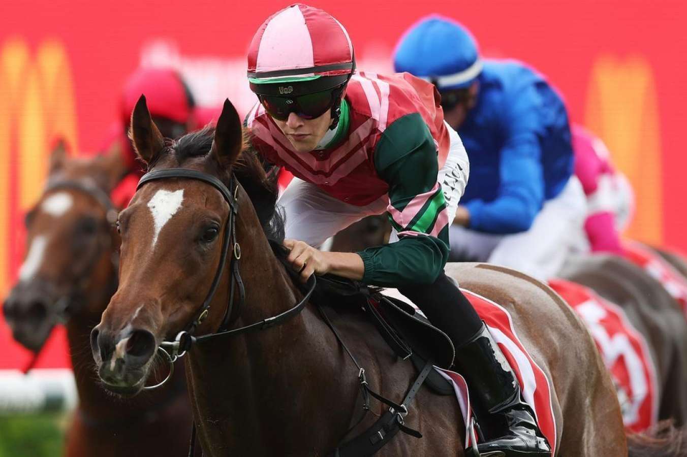 Gary Portelli-trained Kimochi chasing $1m Percy Sykes Stakes