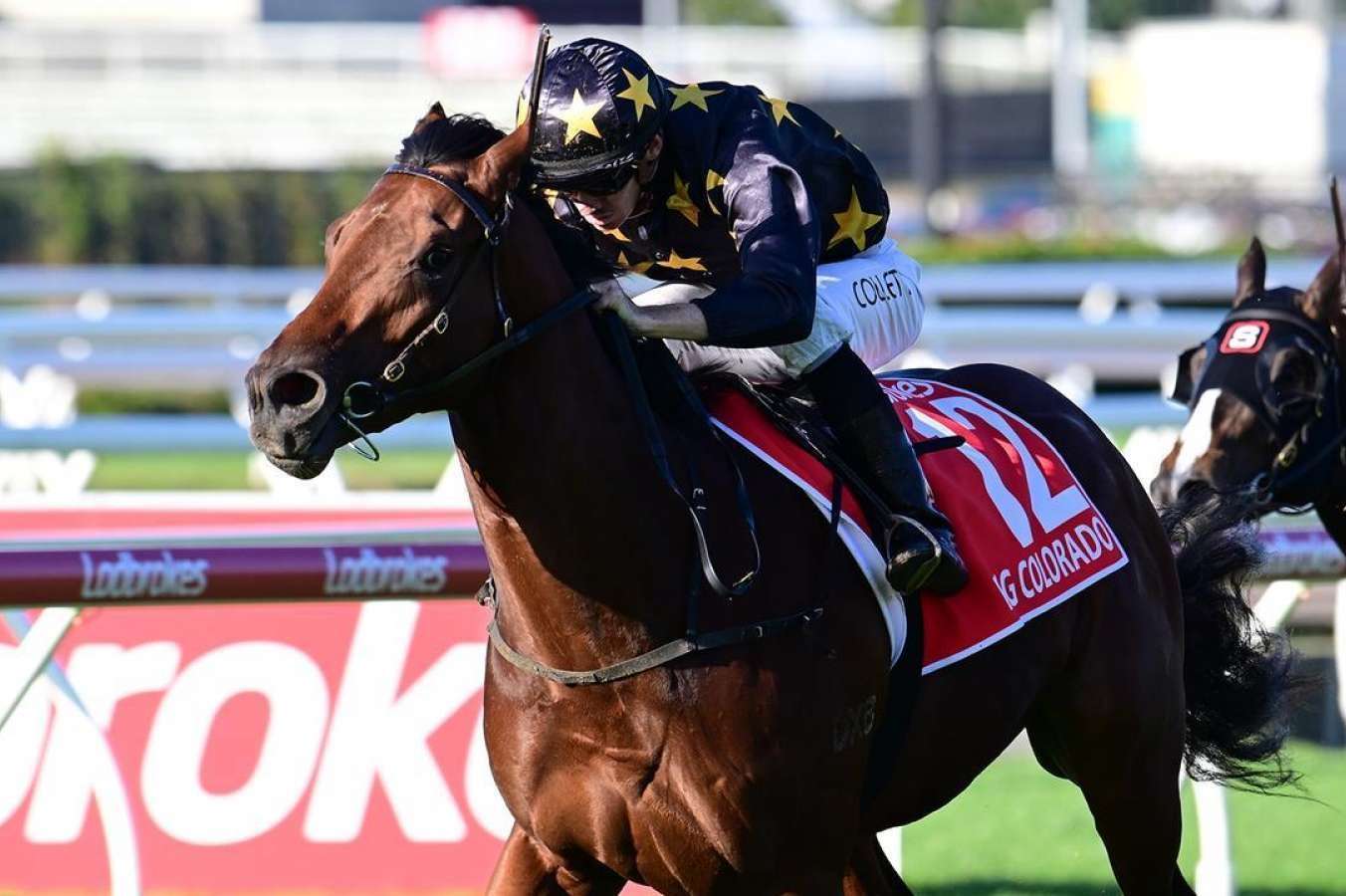 Maher confident duo can topple Golden Rose favourites