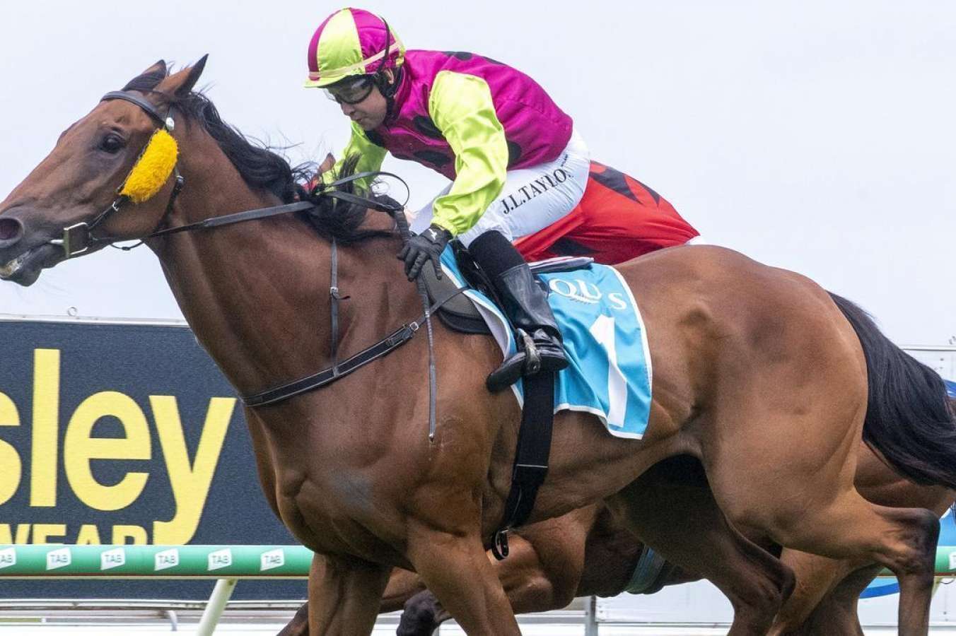 Eagle Farm: Dynamic duo bring in-form comeback sprinter to town