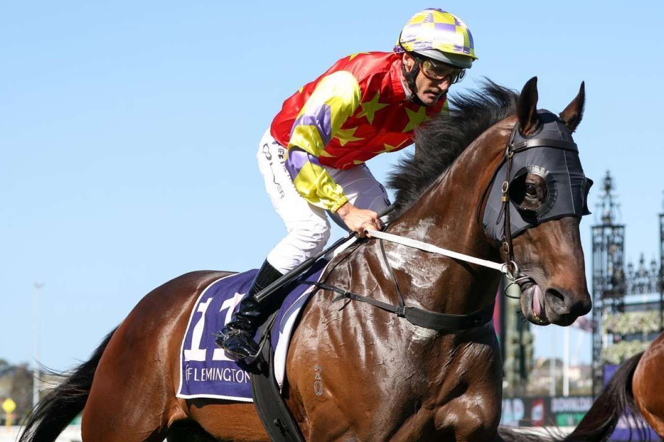 King to take Fight to The Valley in Stutt Stakes