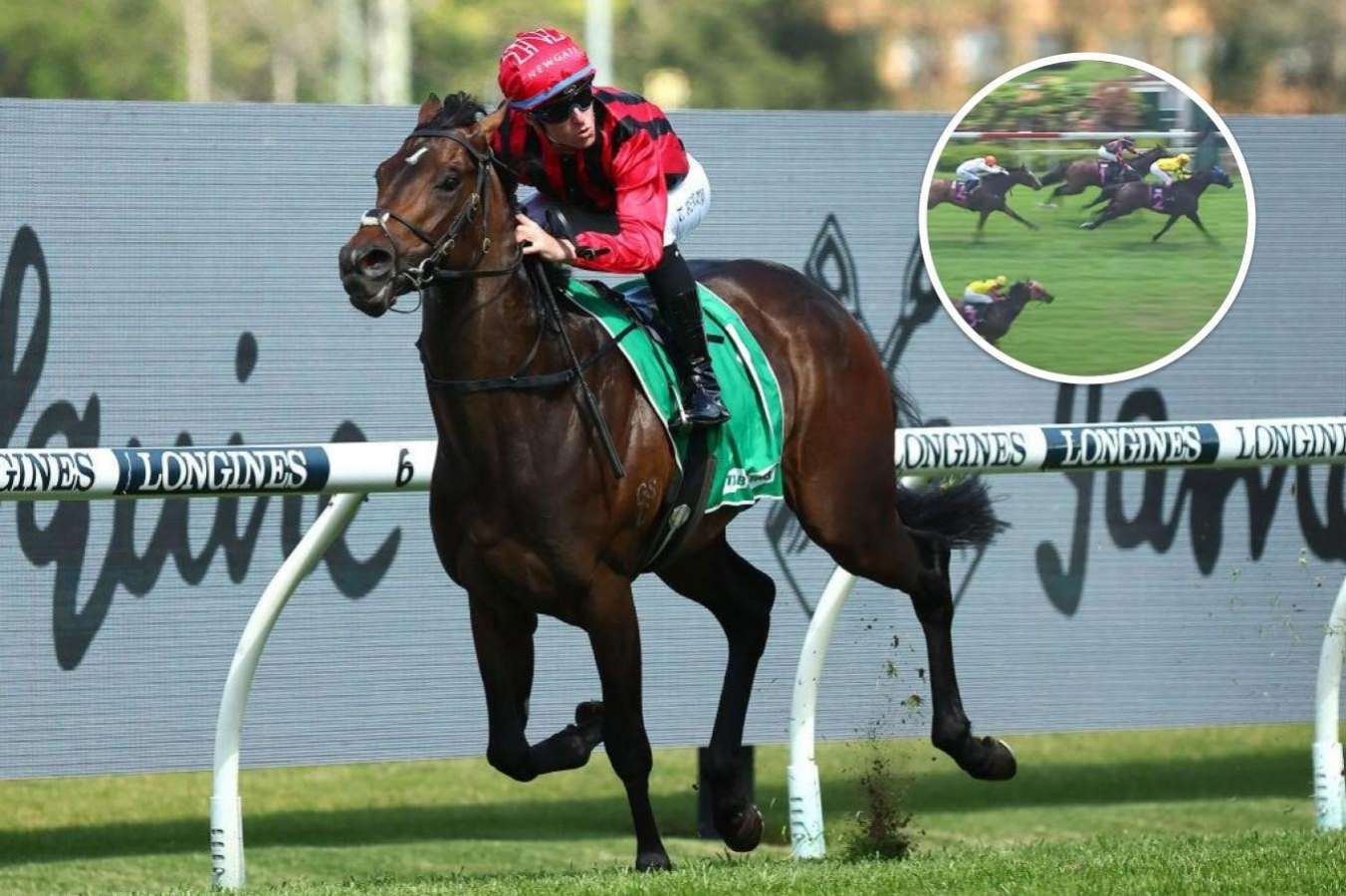 Checkmate: Two horses with same name win in sync