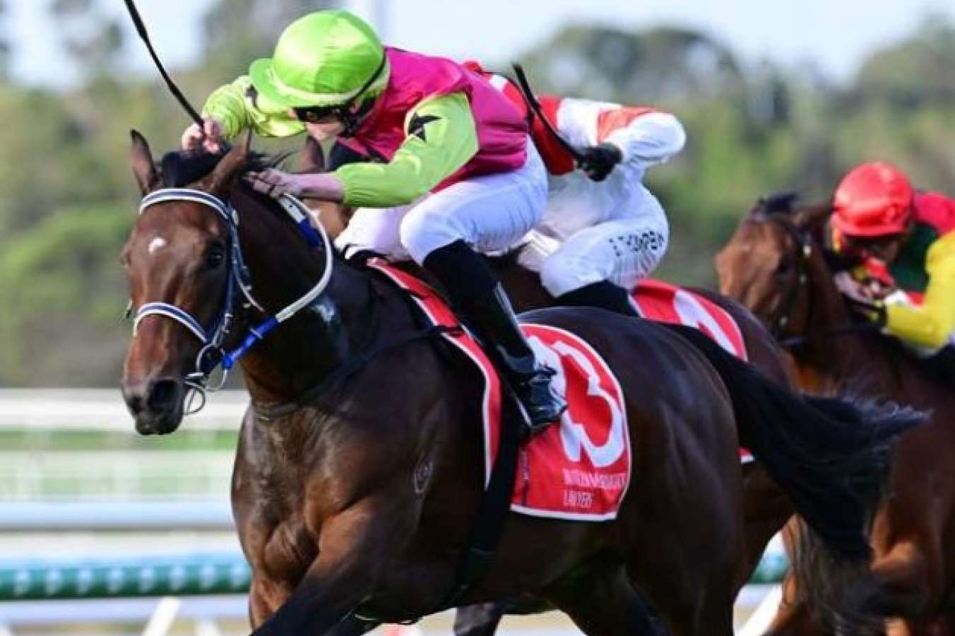 Knight's Choice wins 2024 Melbourne Cup in shock upset