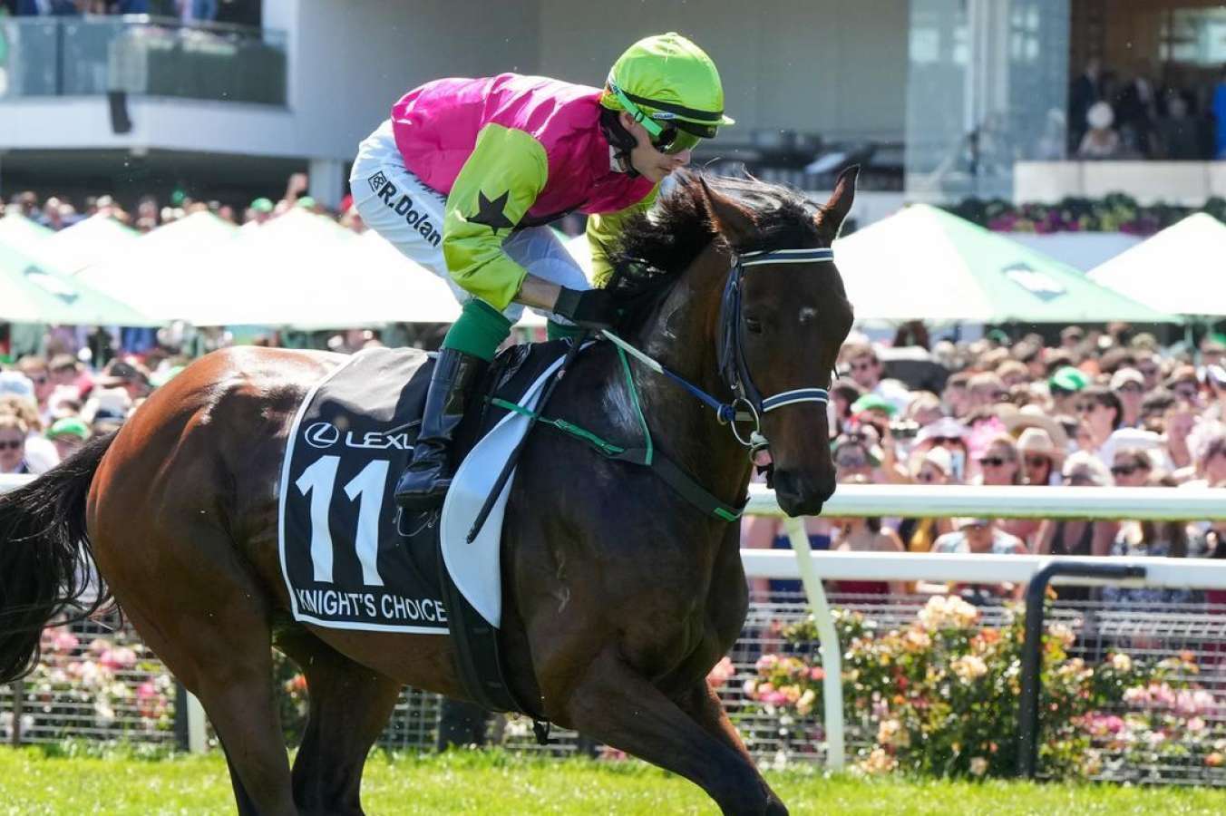 Melbourne Cup champ Knight's Choice earns ticket into All-Star Mile at ...