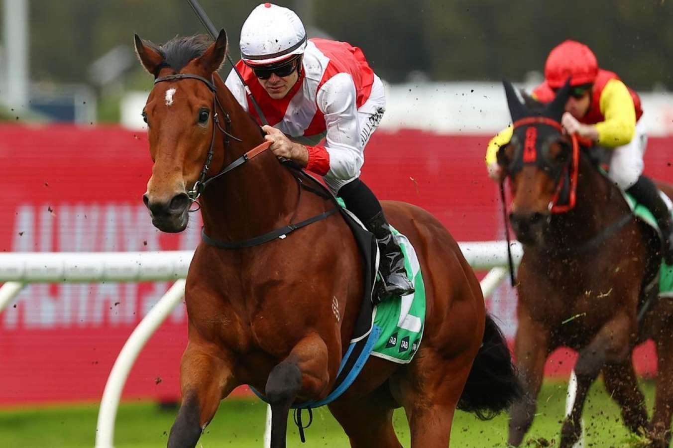 'He's a jet': Messara justified knocking back Hong Kong offers