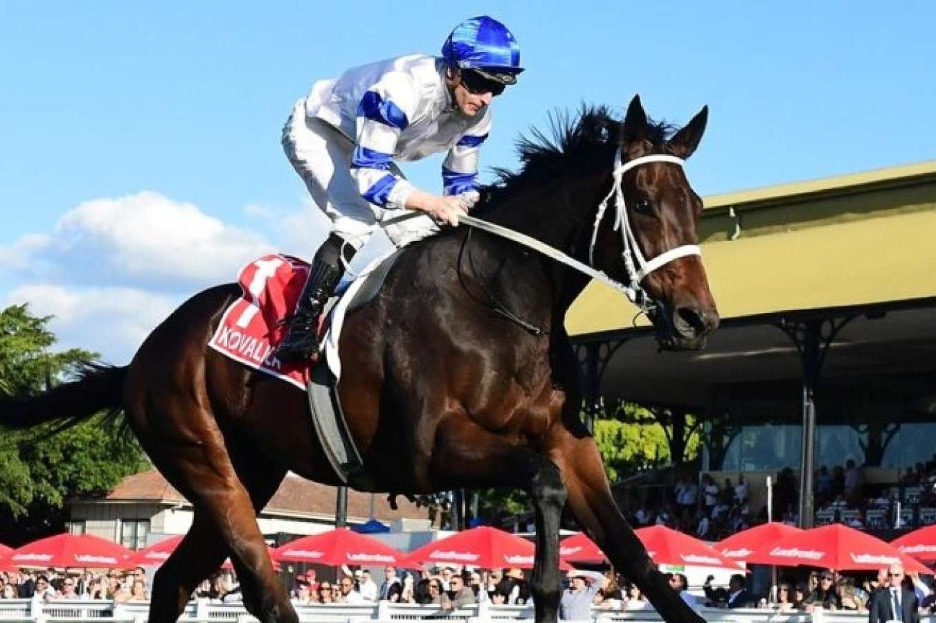 Group 1 Doomben Cup: Final field and barrier draw