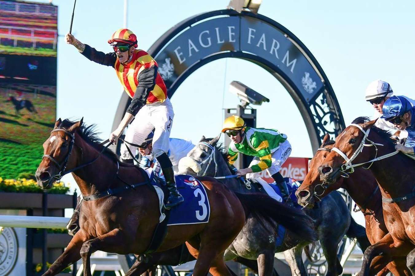 Queensland racing's best 10 moments for the season