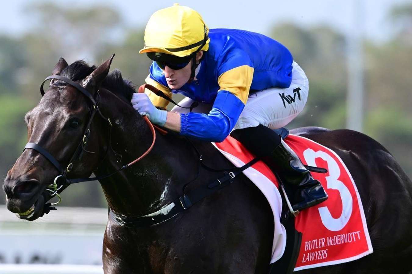 Sam Freedman lauds Kyle Wilson-Taylor's win on Punch Lane at Sunshine Coast