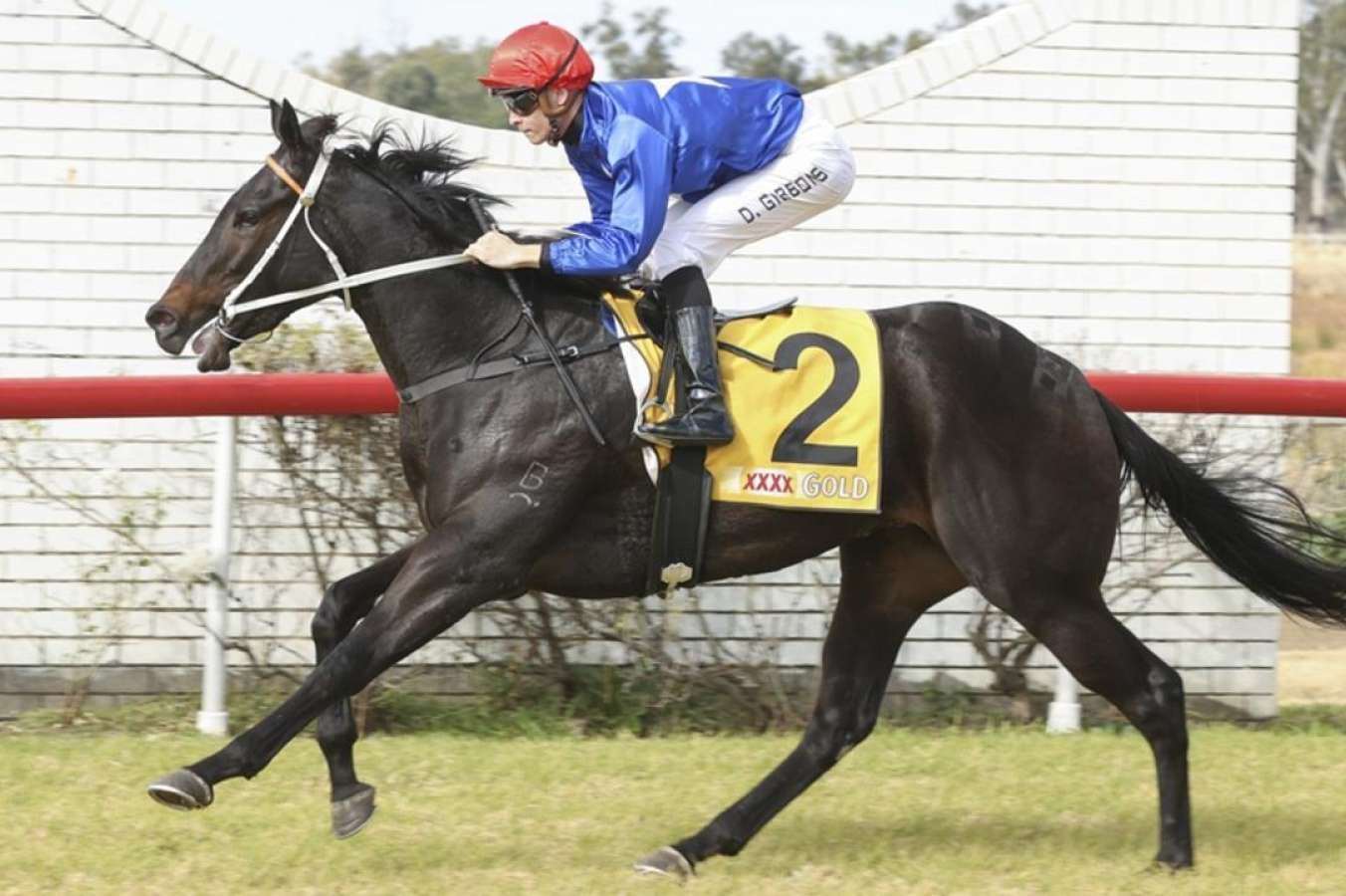 Horse racing tips: Coffs Harbour best bets for Thursday, November 30