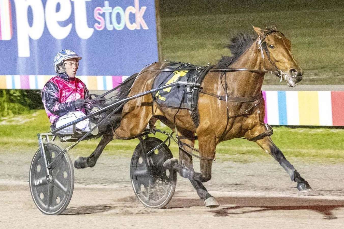 Training duo set to dominate Victoria Oaks