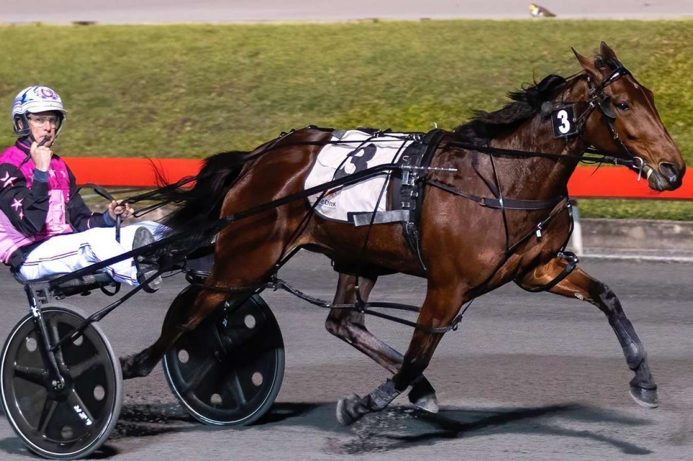 Ladies In Red won't back up in Group 1 Golden Girl