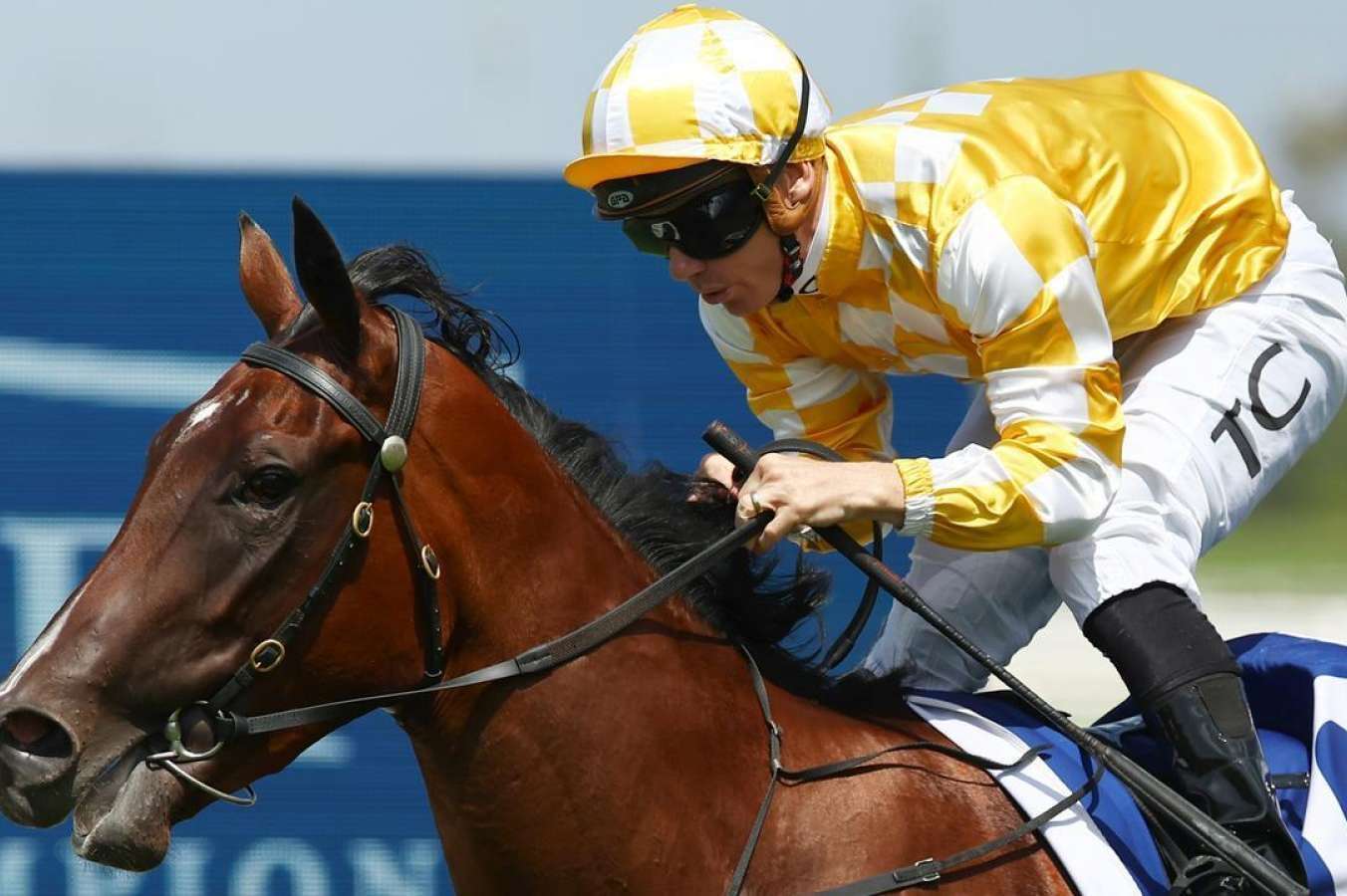 Lady Of Camelot makes Golden Slipper statement