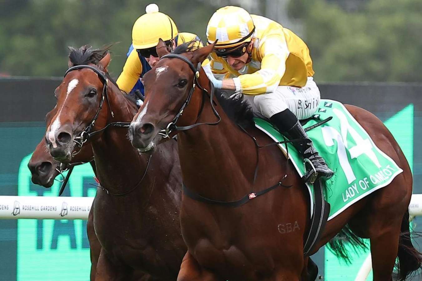 2024 Champion 2YO Australia: Lady of Camelot, Storm Boy clash in Sires