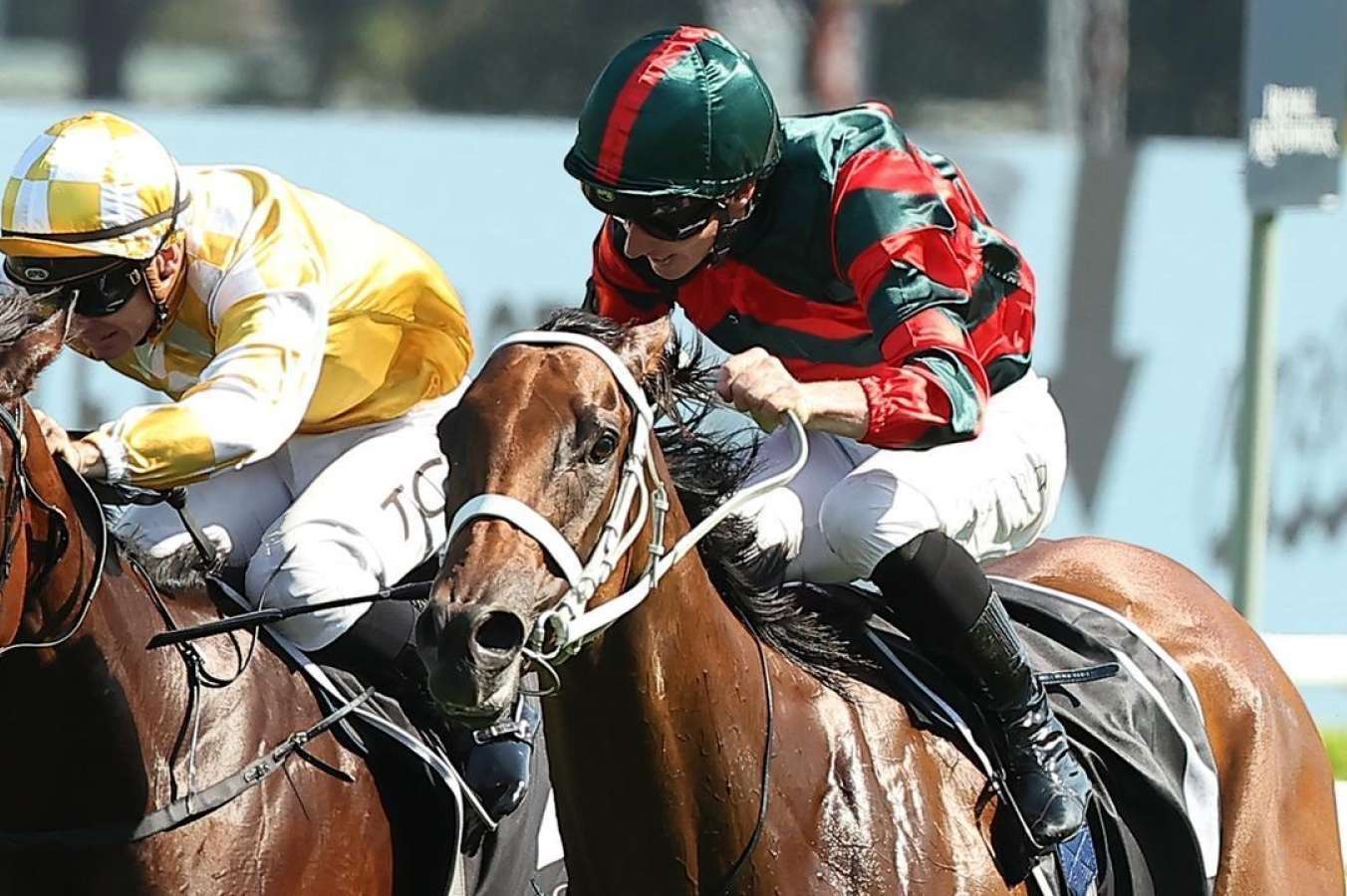 Lady Shenandoah wins the Coolmore Classic