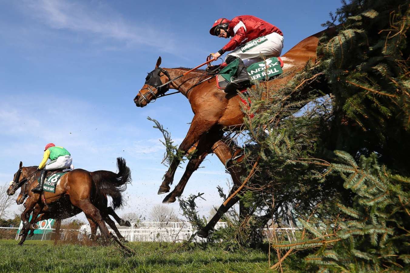 Virtual Grand National for charity