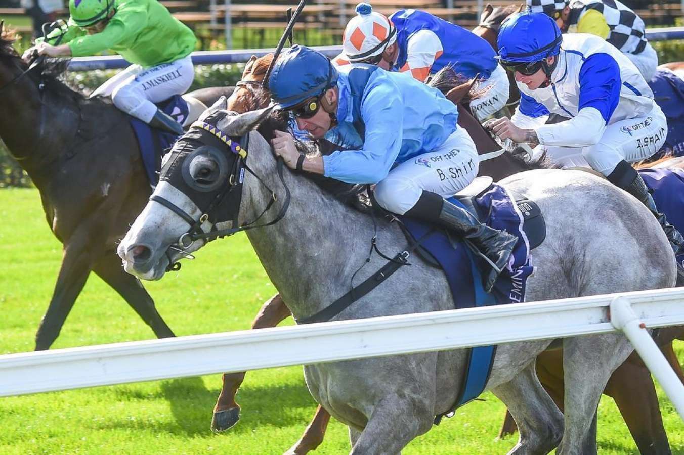 Le Zebra earns stripes as Emma-Lee and David Brownes' headline horse