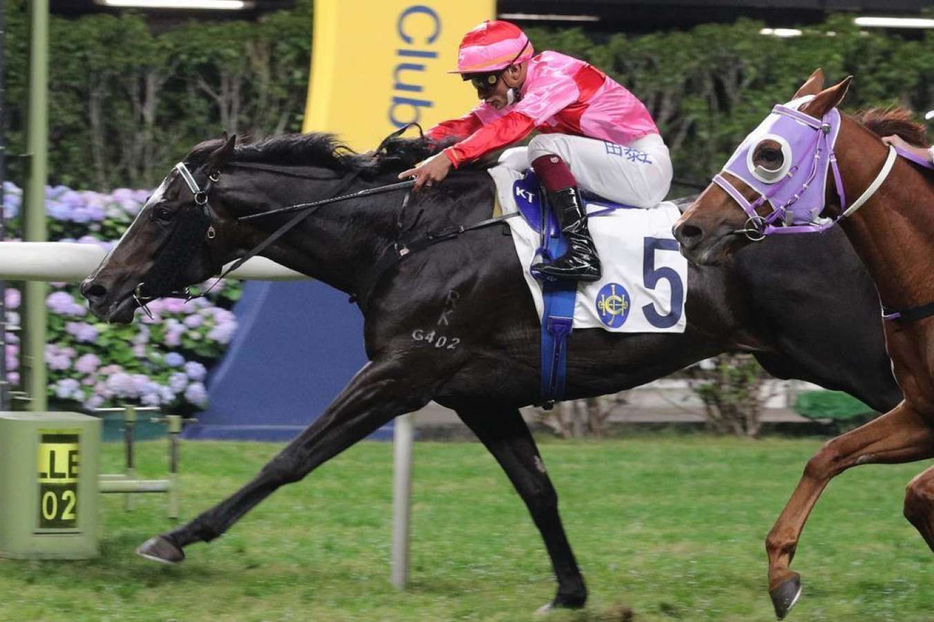 Michael Dee kicks off Hong Kong contract with three at Happy Valley
