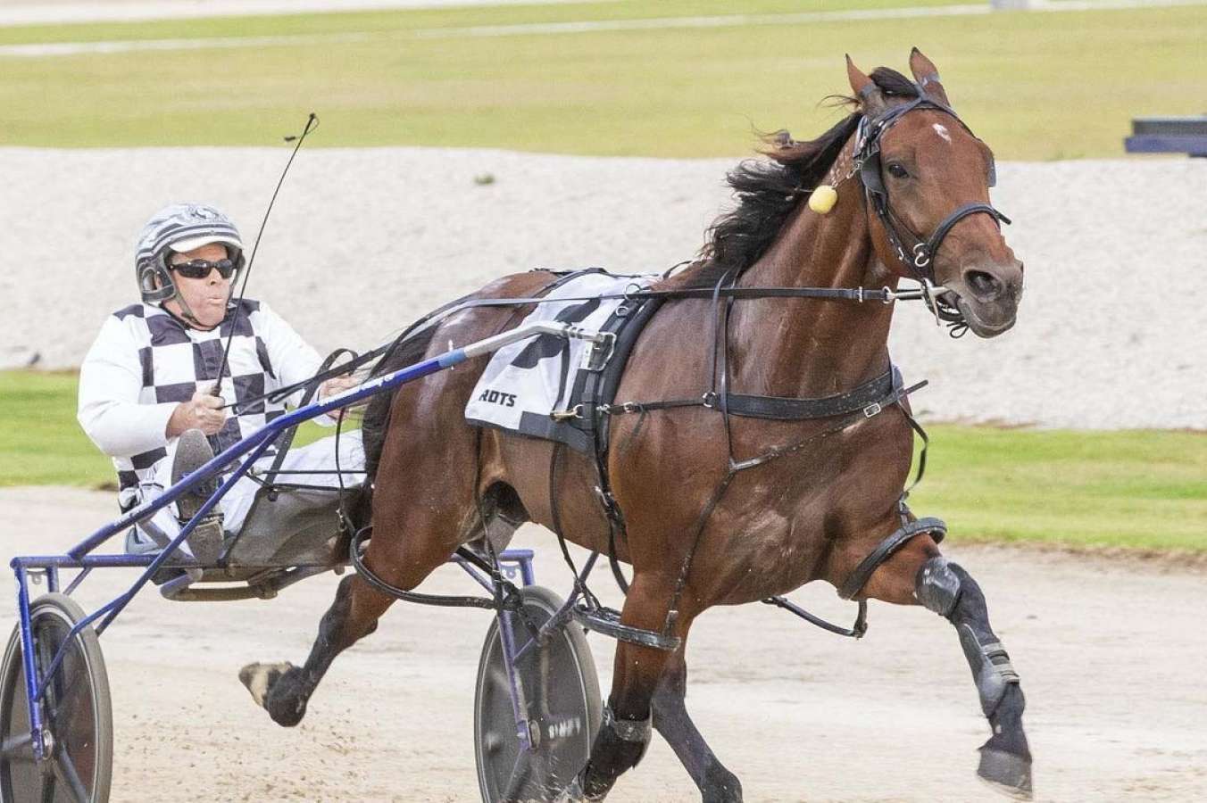 Harness racing: Barrier setback for Leap To Fame in Hunter Cup