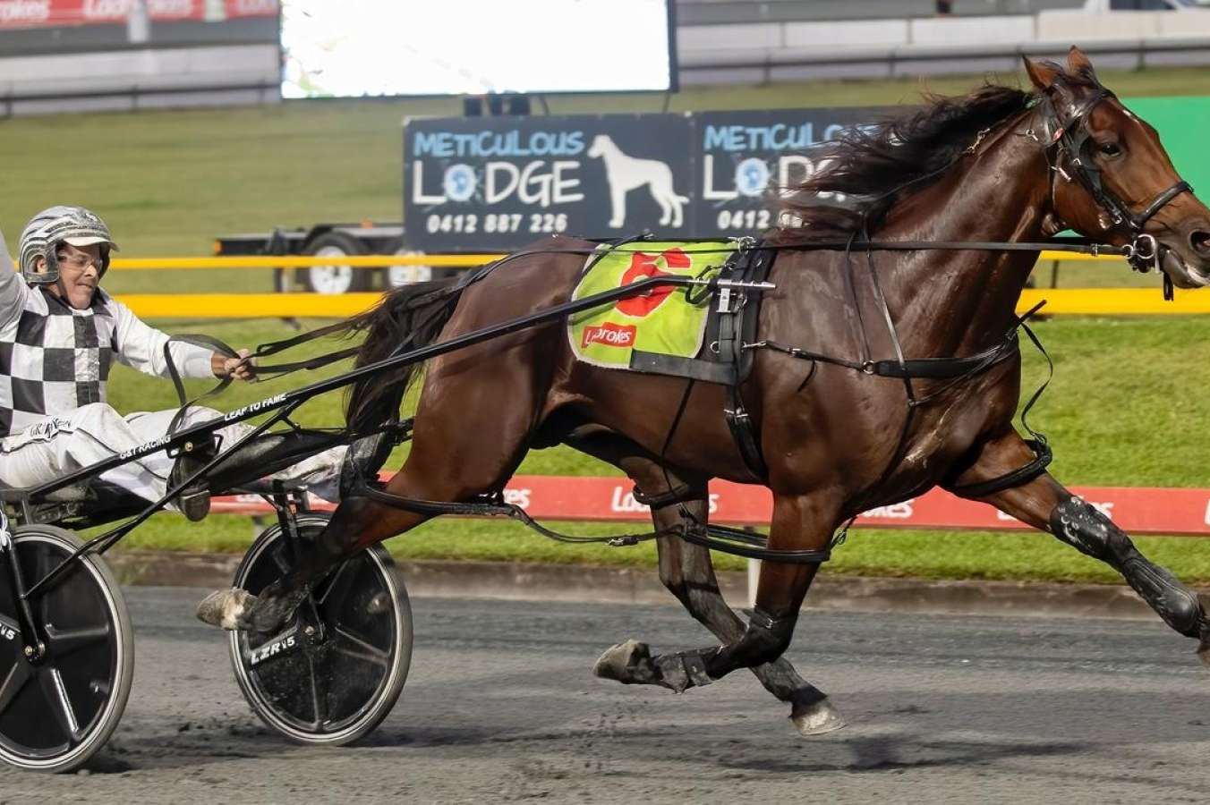 Leap To Fame headlines Brisbane Inter Dom line-up