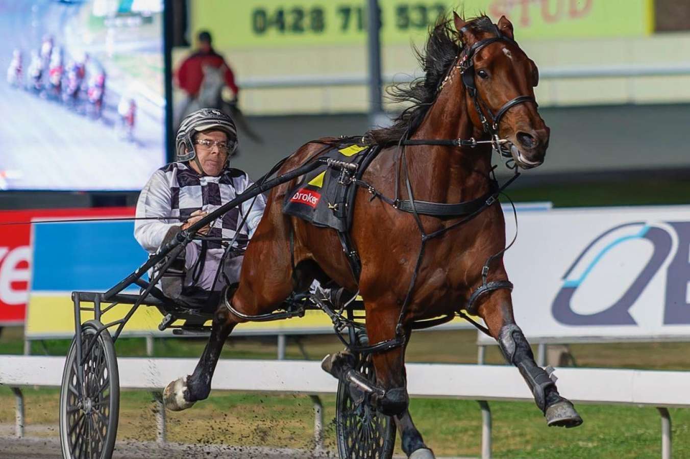 Leap To Fame to chase first grand circuit win