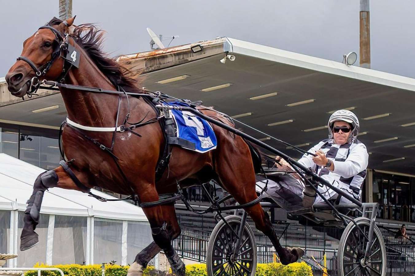 Harness racing: Leap To Fame confirmed for The Eureka in owners' slot