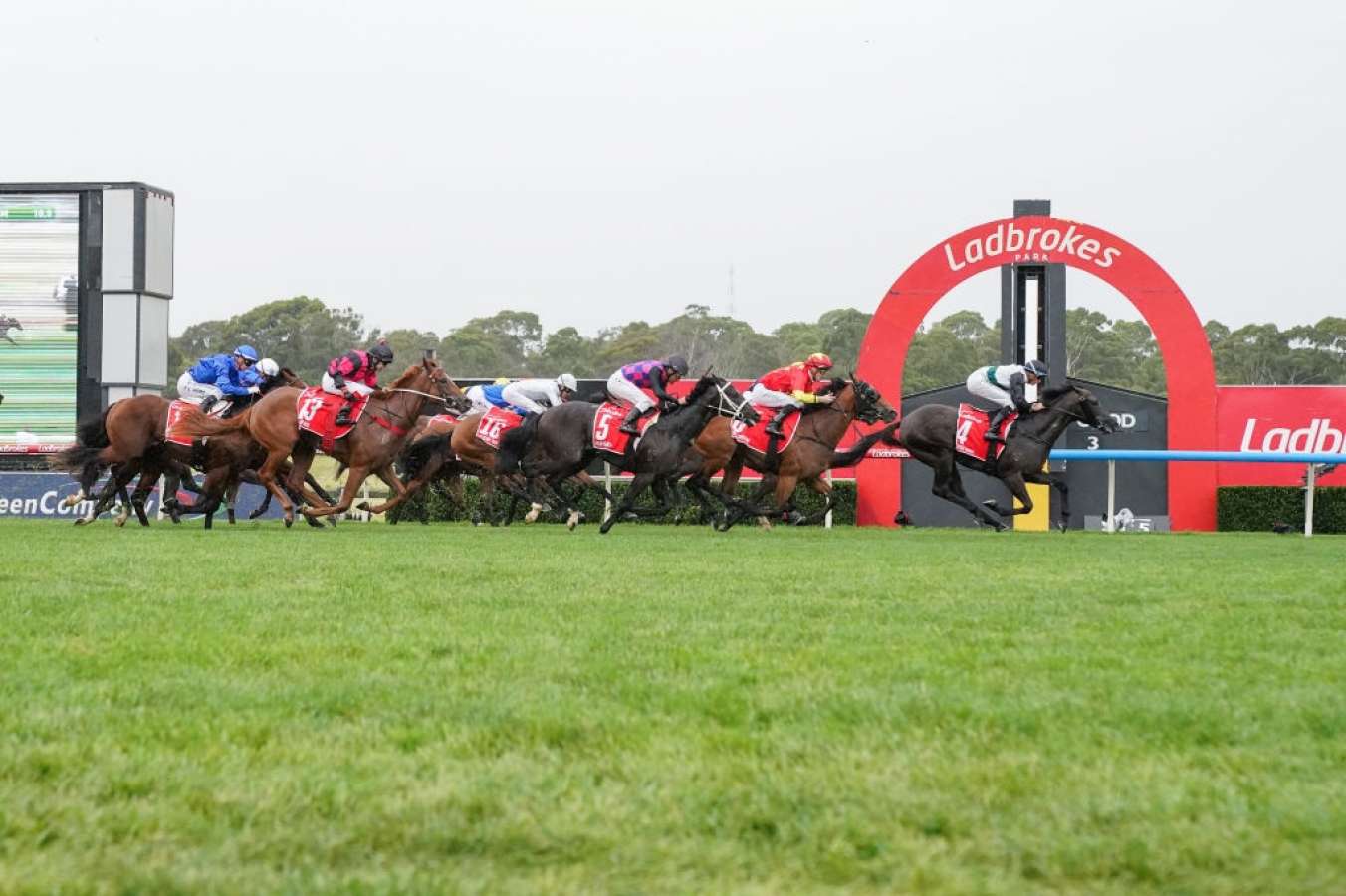 'We'd be very happy if he ran a place': Aus G1 winner set for HK debut