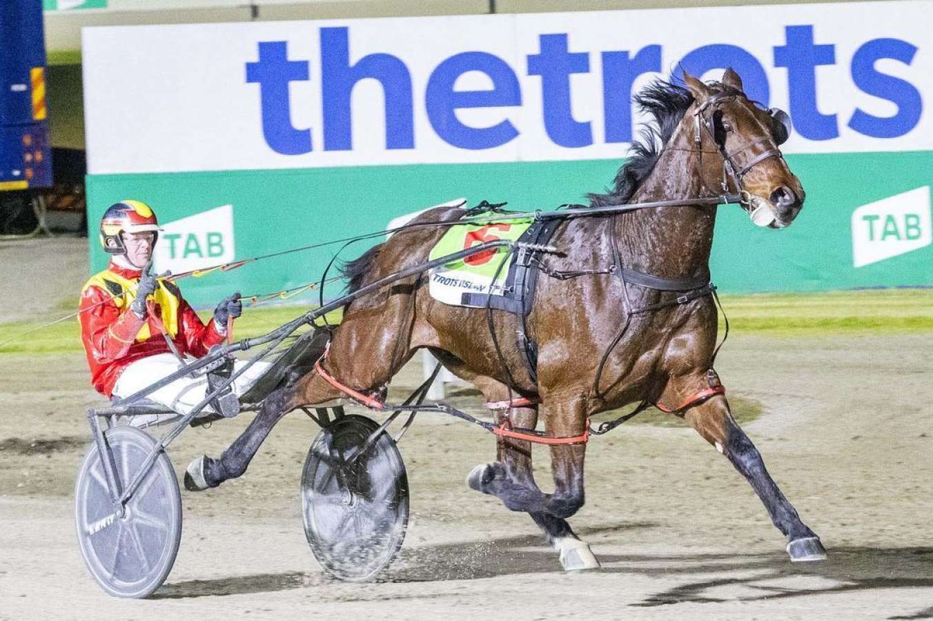 Young gun driver Lochie Cook finds recipe to harness success