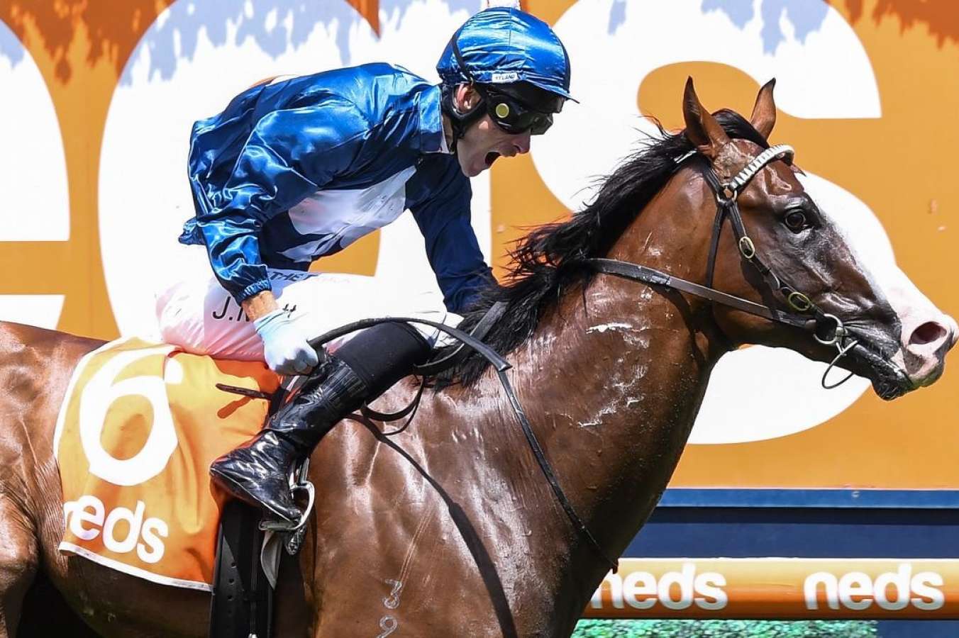 The 2022 Blue Diamond Stakes: Final field and barrier draw