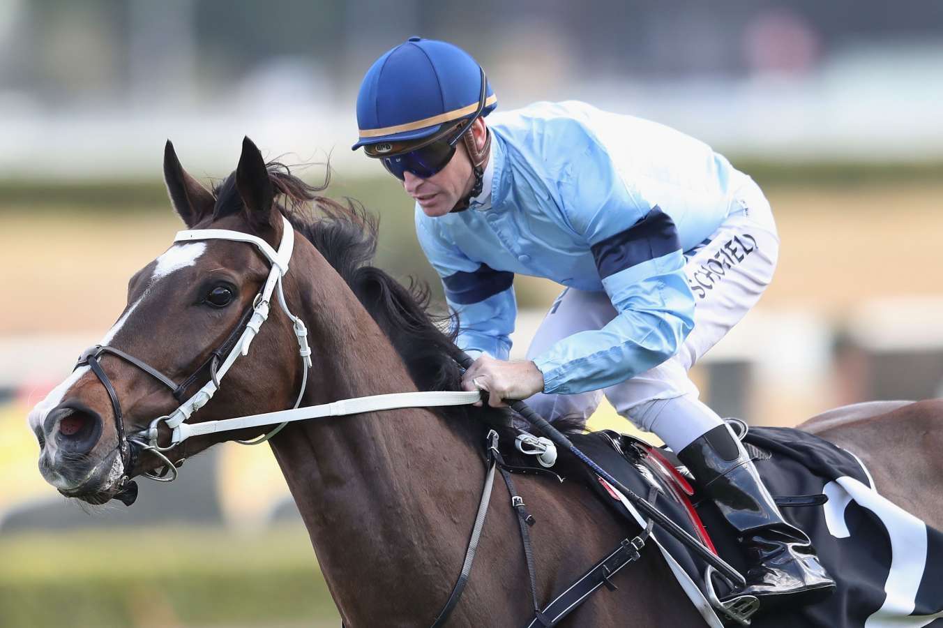 Libran on track for Sydney Cup