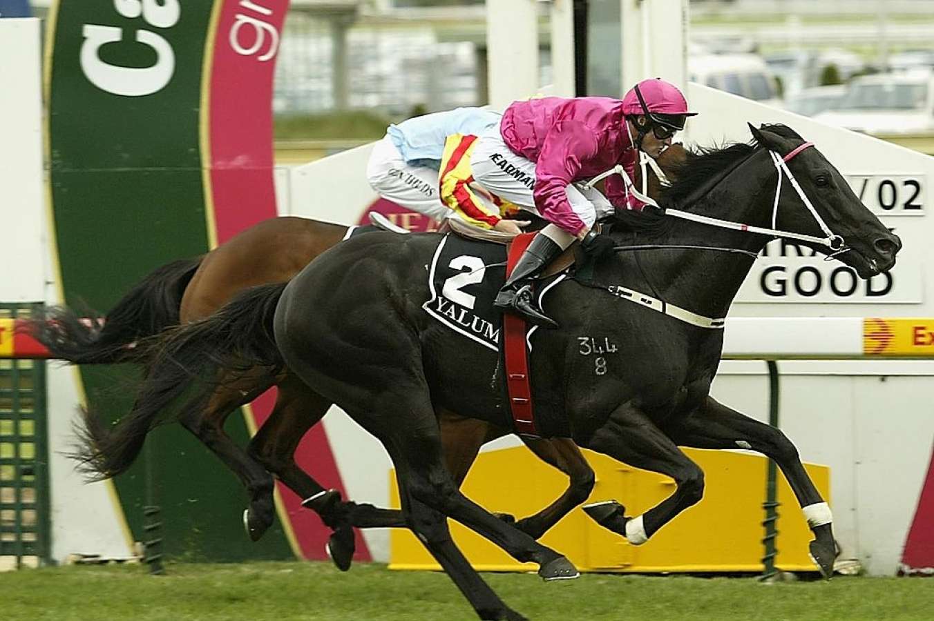 The woman that's named nearly 10,000 horses including Lonhro and Octagonal