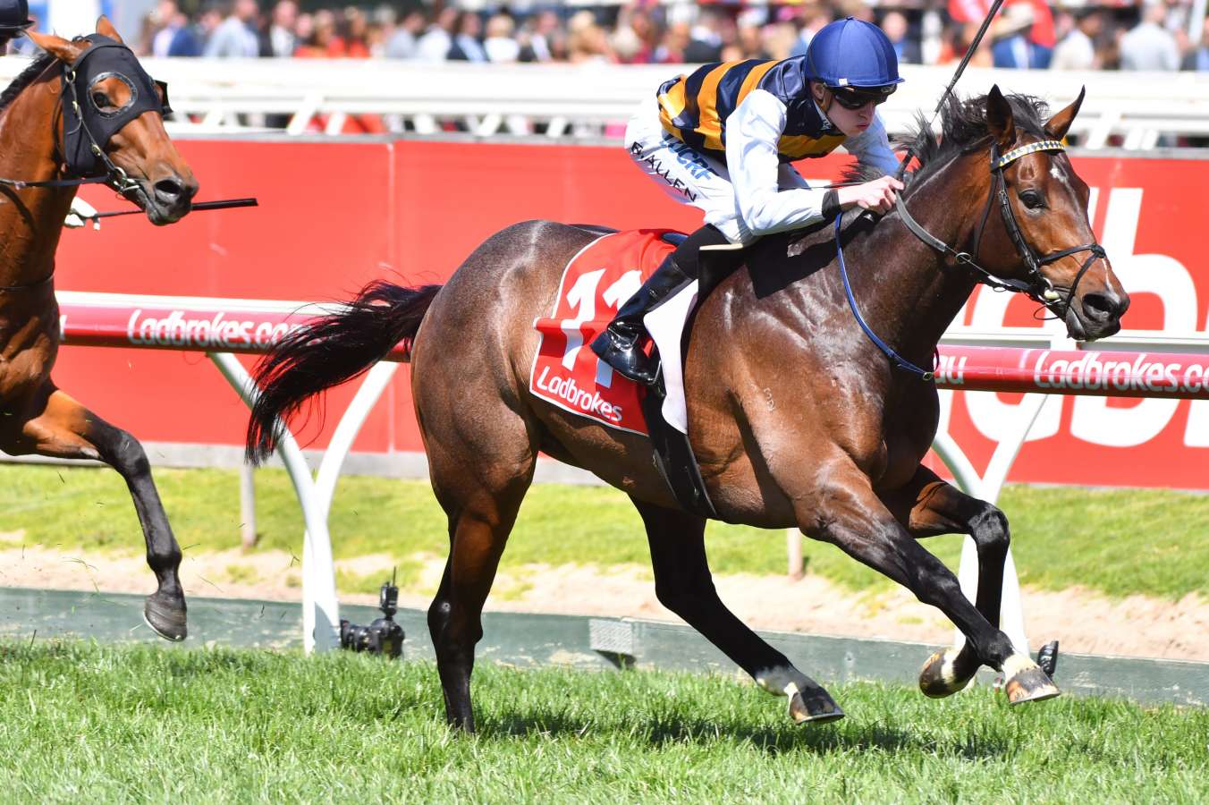 Lord Fandango gives Alexander Cup chance