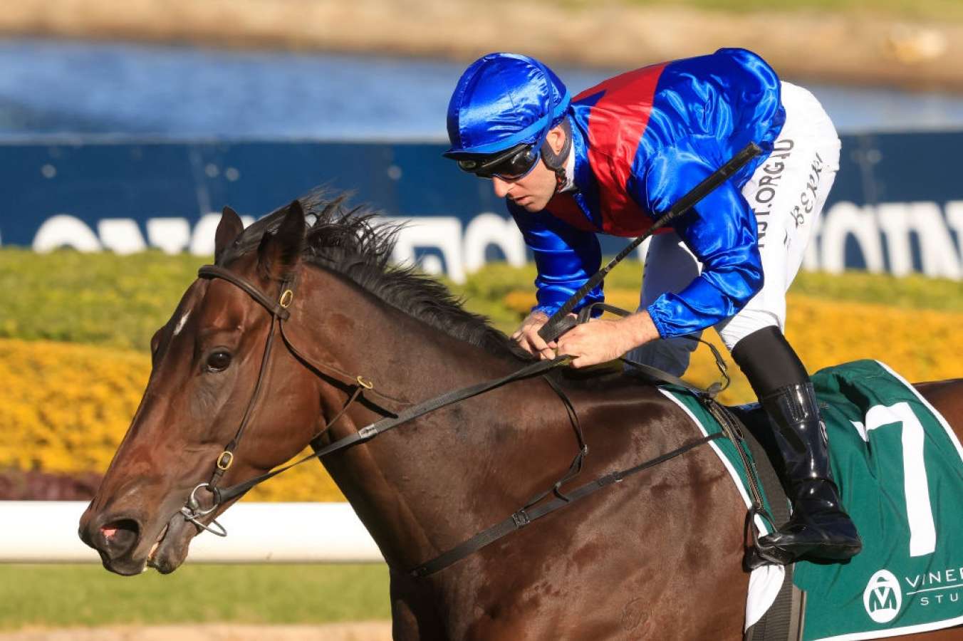 Luskin Star Stakes: Lost And Running set to snap up slot in The Everest