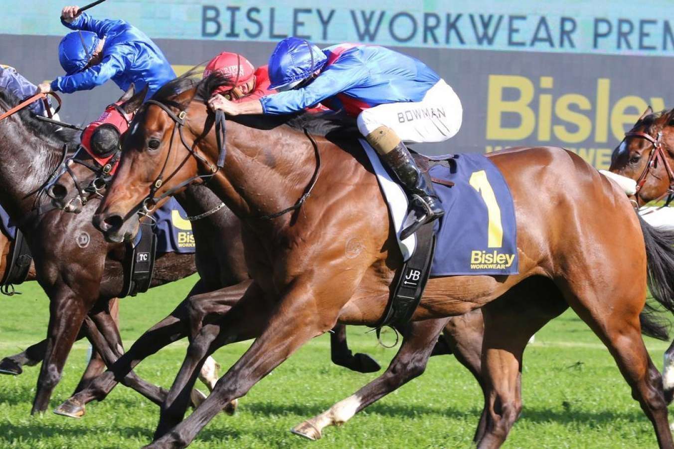 Racing: Saturday Selections - Epsom Handicap day - 2023 | Odds