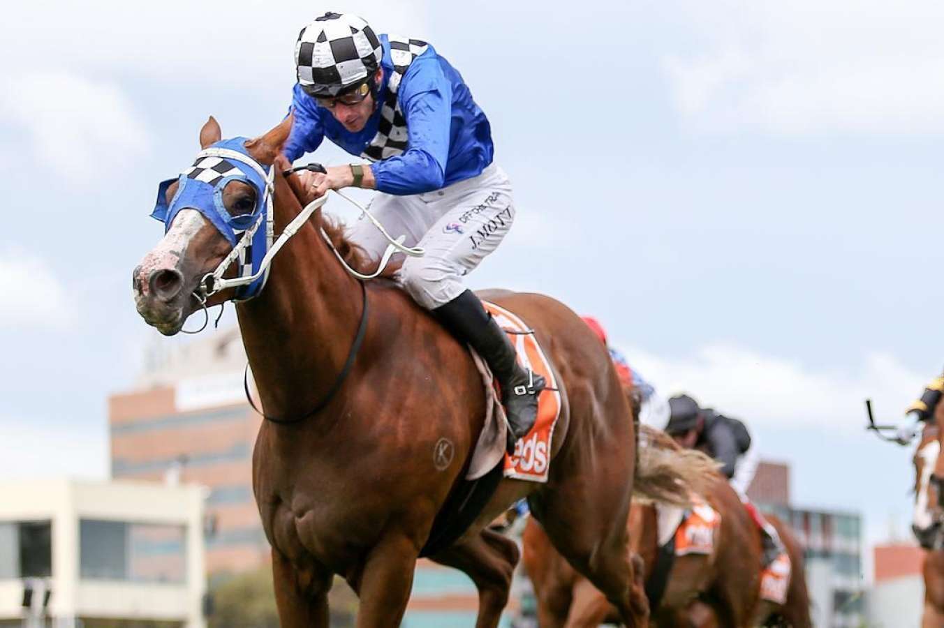 'Expect him to run well': Rubi won't Lounge around at Sandown