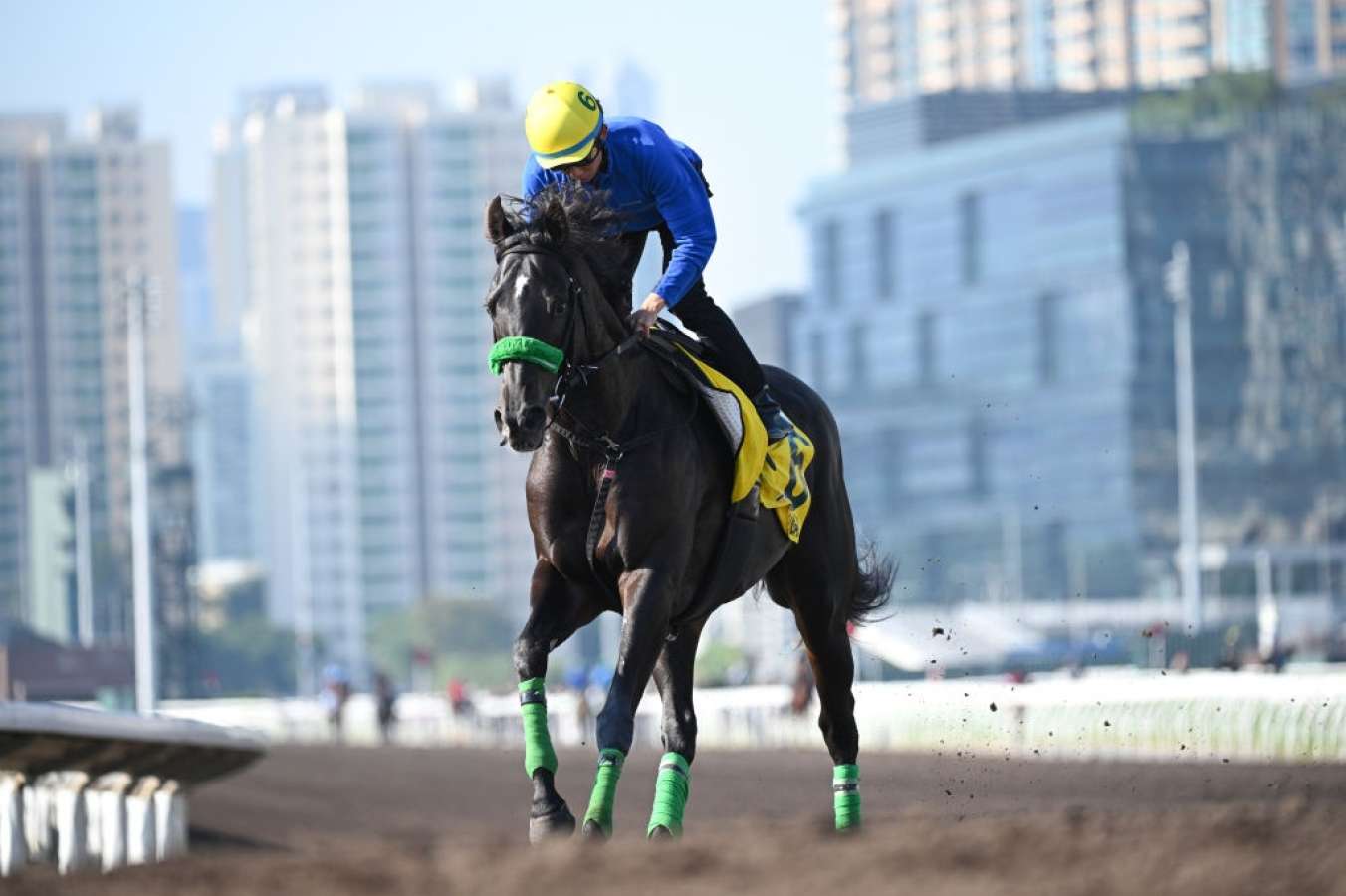 Lugal spearheads Japanese challenge in Hong Kong Sprint