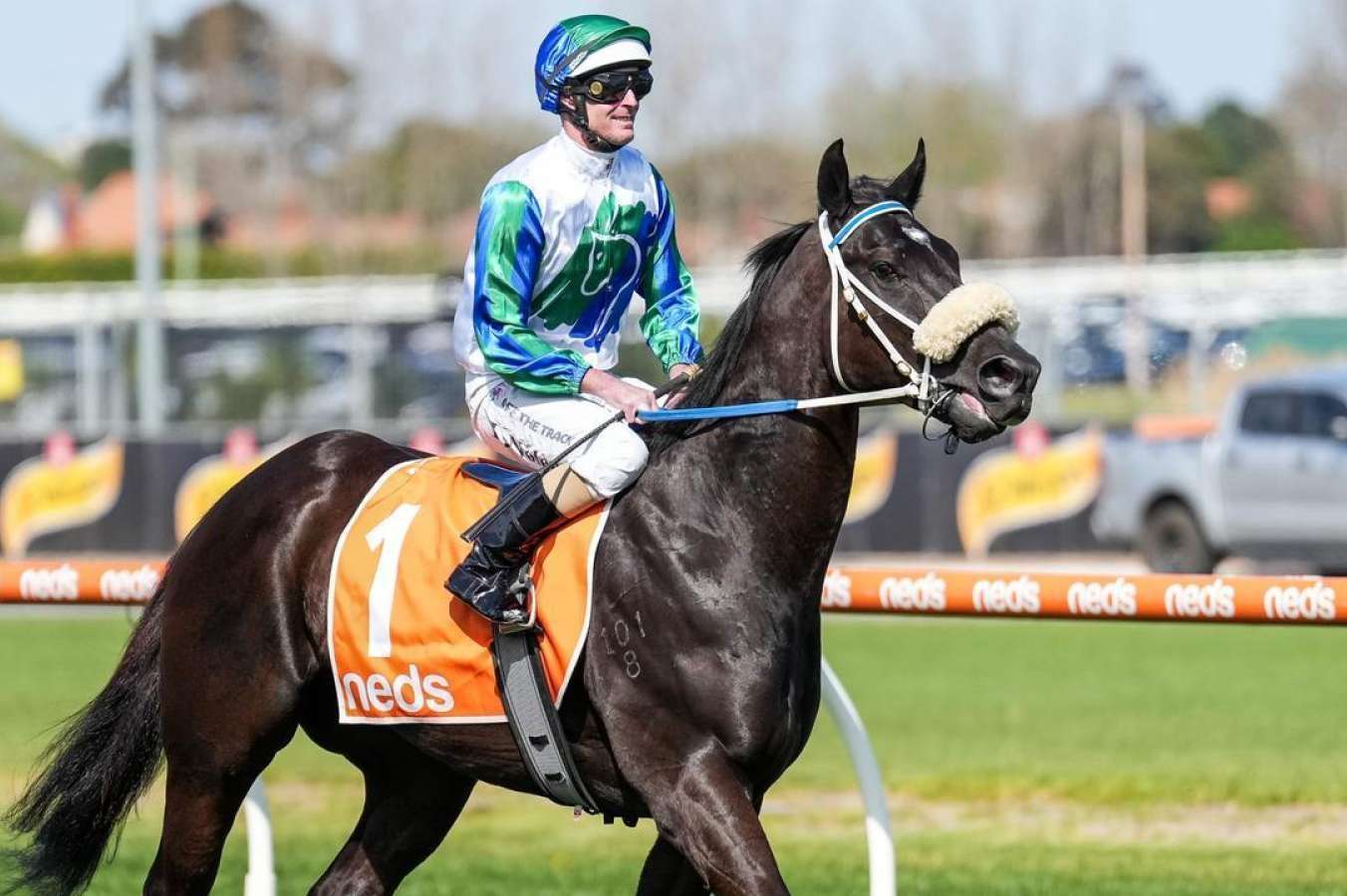 Luke Nolen gets his Wish as Peter Moody braces for G1 double