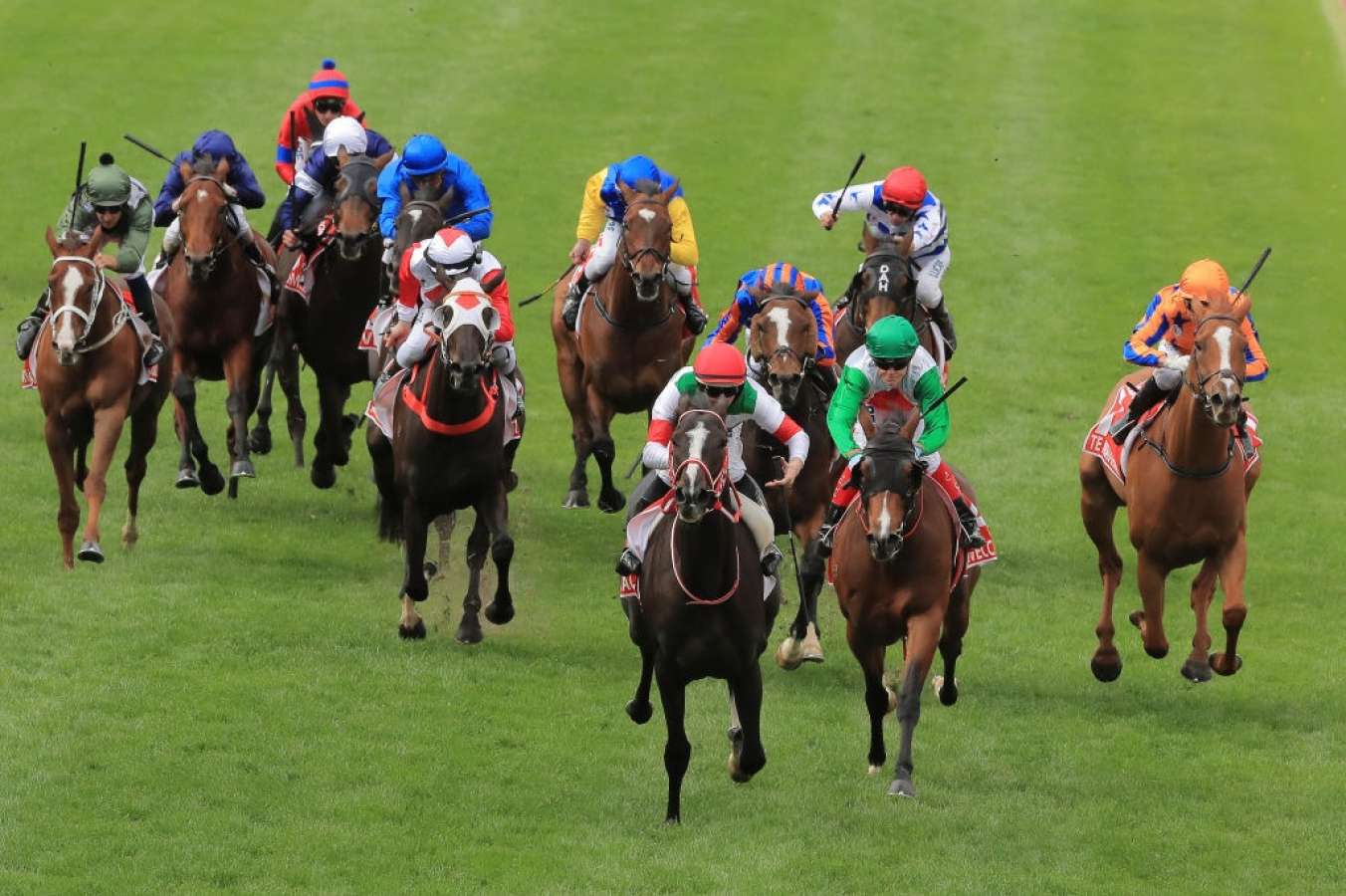 Cox Plate: What the jockeys said
